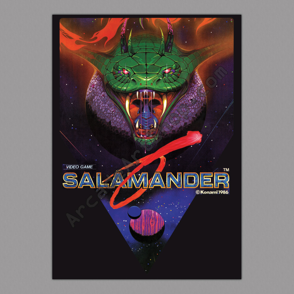 Salamander large arcade Poster 50x70cm – Arcade Art Shop