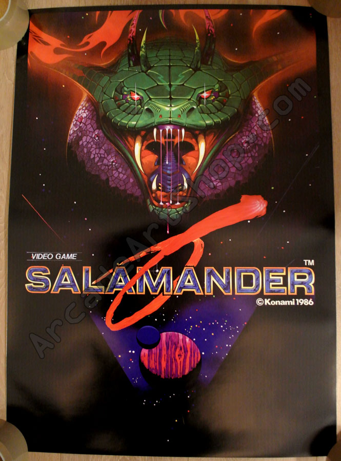 Salamander-Poster – Arcade Art Shop