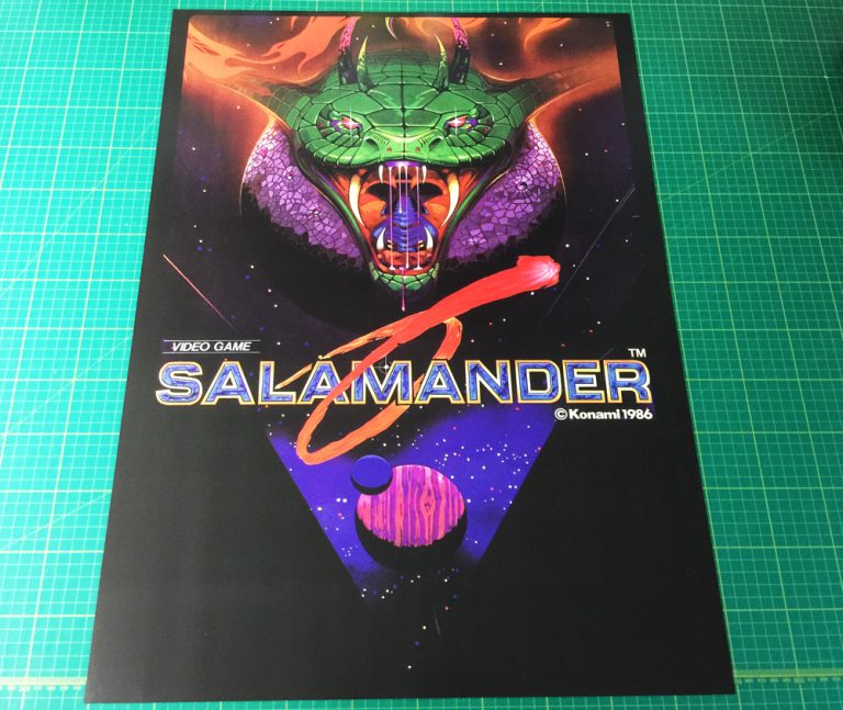 Salamander large arcade Poster 50x70cm – Arcade Art Shop